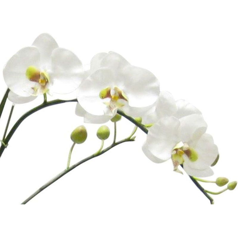 Resin Geo Bowl Champagne Leaf - Artificial Orchids White & Green ...